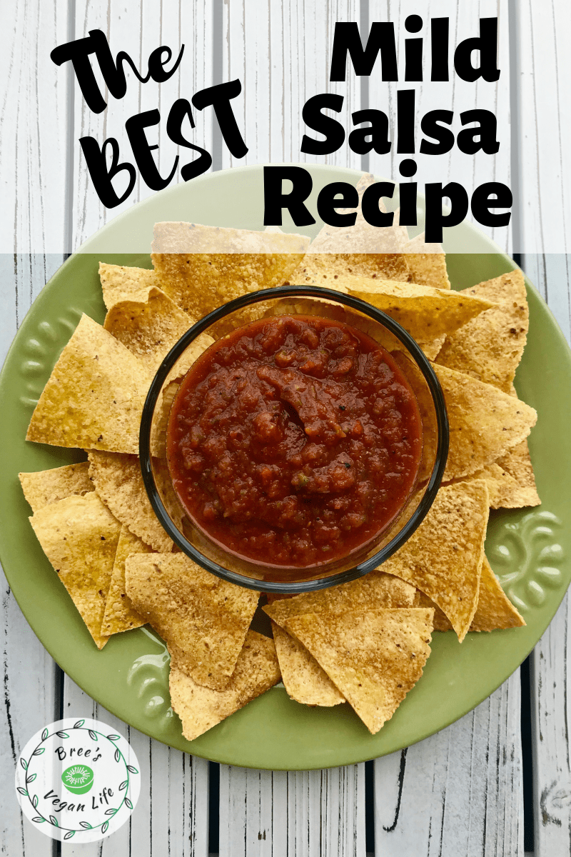 The Best Mild Salsa Recipe (Healthy) - Bree's Vegan Life