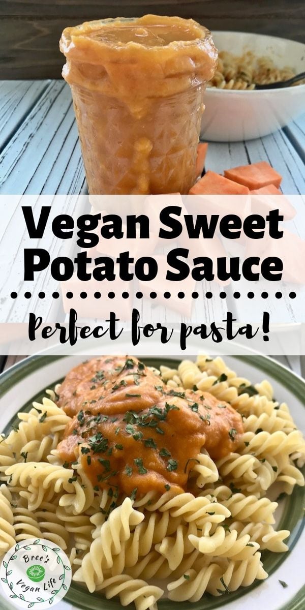 Vegan Sweet Potato Sauce - Bree's Vegan Life