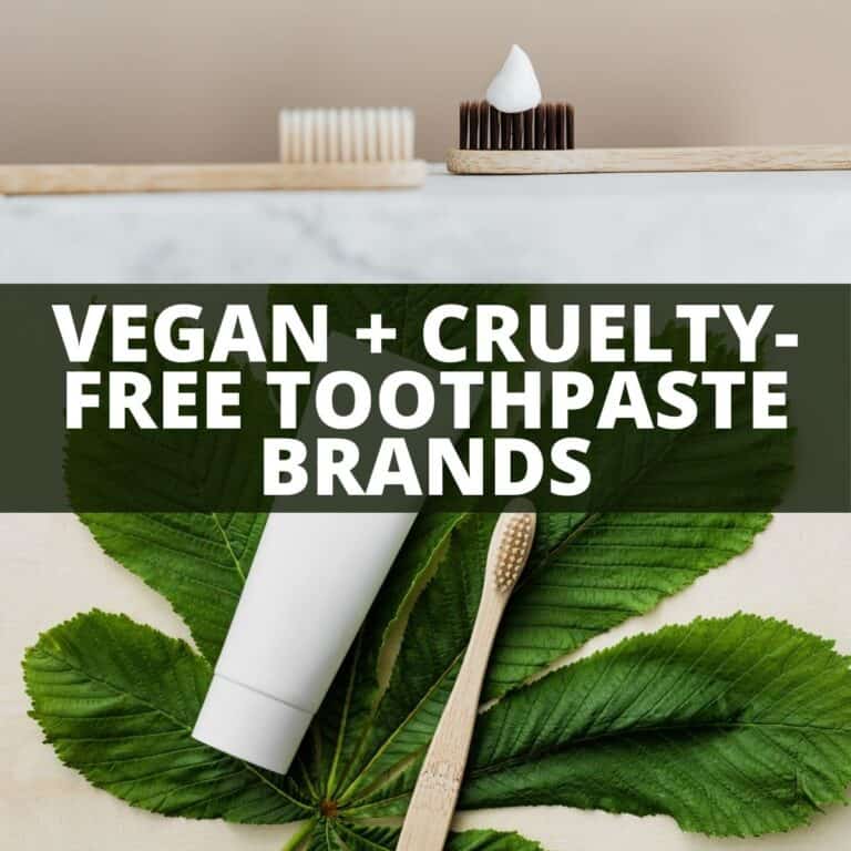 Top Vegan Toothpaste Brands